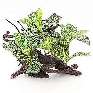 HRRIVE Reptile Rain Forest Ground Plants Decorations for Lizard Snake Bearded Dragon Crested Gecko Amphibian and Terrarium Habitat Decor