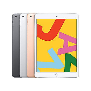 2019 Apple iPad (10.2-inch, Wi-Fi, 128GB) - Space Gray (Renewed Premium)