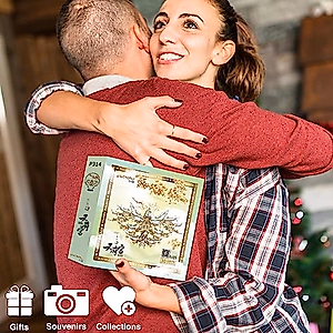 Piececool 3D Puzzles for Adults - Tianfu Palace 3D Metal Model Building Kits, Challenging Brain Teaser Puzzle DIY Arts and Craft Kits, Best Birthday Gifts