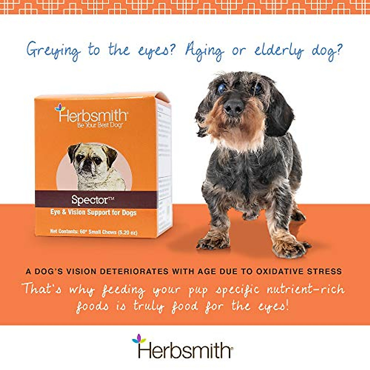 Herbsmith Spector - Eye and Vision Support for Dogs - Repair Greying to The Eyes - Senior Supplement for Dogs - Antioxidant for Dogs - 60ct Small Chews