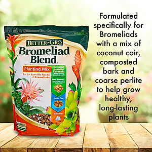 Better-Gro Bromeliad Blend 8 Quart