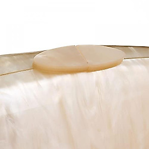 Acrylic Purses and Handbags for Women Shell Shape Clutch Shoulder Crossbody Bag with Chain Elegant for Banquet Evening Wedding Party