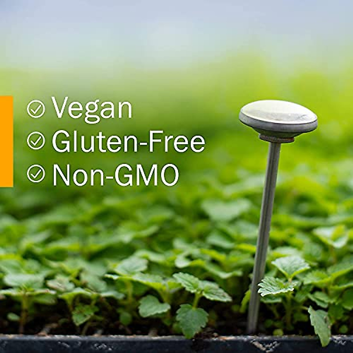 Herb Pharm Organic Nootropic Brain & Memory Supplement with Ginkgo Biloba Liquid Extract: Fast Absorption for Mental Focus Support, Ginkgo Supplement, Vegan, Gluten-Free, Non-GMO, 1 Oz