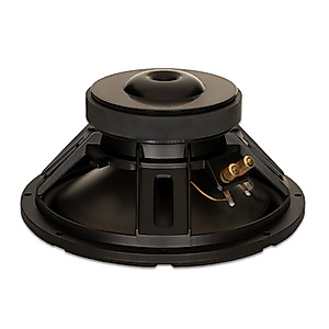Goldwood Sound GW-10PC-8 Heavy Duty 8ohm 10" Woofer 400 Watts Replacement Speaker,Black