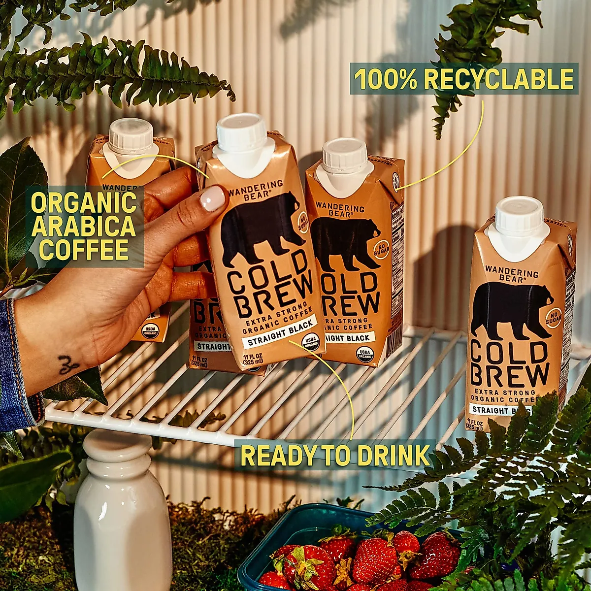 Wandering Bear Organic Straight Black Cold Brew Coffee On-the-Go, Iced Coffee, 11 fl oz, 1 pack - Extra Strong, Smooth, Organic, Unsweetened, Shelf-Stable, Ready to Drink, Cold Coffee, Cold Brewed Coffee