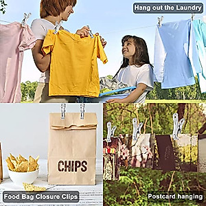 40PCS Greenhouse Clips-Garden Clips-Greenhouse Clamps Film Row Cover Netting Tunnel Hoop Clip Frame Shading Net Rod Clip for Season Plant Extension Support