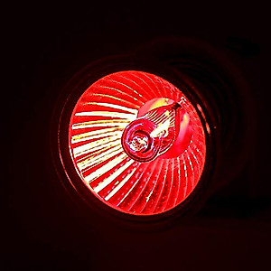 Hilitand Reptile Light Bulb,1Pc UVA UVB Reptile Heating Light Bulb Full Spectrum 2.0 Sunlight Lamp for Snake Turtle Pet (25W),Durable