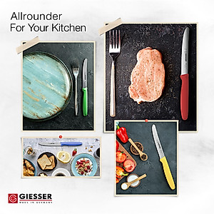 Giesser since 1776, Made in Germany, Colorful serrated Utility kitchen knives round tip dishwasher safe 4.5 inch - paring knife, Tomato knife, Steak knives set of 6, restaurant knife