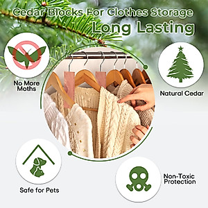 Tupetcs 10 Pcs Cedar Blocks for Clothes Storage, Cedar Planks for Closets and Drawers, Aromatic Cedar Wood Hang Ups with Sandpaper-Clothes Storage Freshener