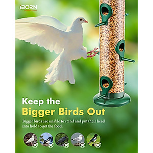 iBorn Metal Bird Feeders 6 Ports Hanging Wild Bird Seed Feeder for Mix Seed Blends, Niger Seed Feeder, Sunflower Heart, Birdbath, Heavy Duty All Metal Green Finishing 14 Inch 6Port