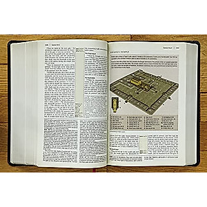 NIV, Cultural Backgrounds Study Bible (Context Changes Everything), Bonded Leather, Black, Red Letter: Bringing to Life the Ancient World of Scripture