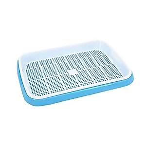 Happyyami Seed Growing Tray Multifunctional Broccoli Wheatgrass Alfalfa Seed Sprouting Soilless Culture Tray Double Layer Germination Planter with Paper for Home Sky Blue