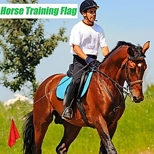 SETHVILL 4 Pcs Horse Training Flag Horse Training Equipment with 48" Telescopic Handheld Flagpoles, Portable Equestrian Nylon Training Flag for Horse Lunging Training