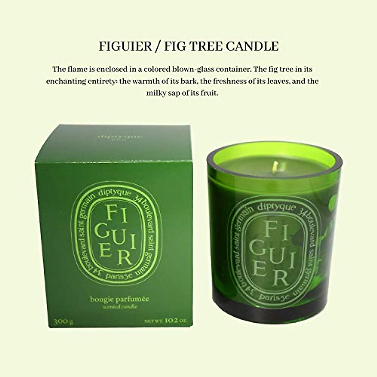 Diptyque Green Figuier Candle-10.2 oz, Green
