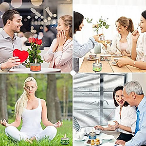 Christmas Scented Candles Gift Set, 12 PCS 2.5oz Aromatherapy Candles Gifts for Women Soy Wax Candles Gift for mom Portable Travel Tin Jar Candles for Birthday, Thanksgiving, Mother's Day