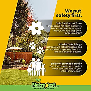 Natrapest Yard Spray - Ready to Use Flea, Tick & Mosquito Yard Spray with Natural Essential Oils - Plant Based Formula is Plant, Pet & Kid Safe - Insect Killer, Treatment & Repellent - 32 oz