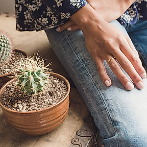 Honeycat Boyfriend Thick Band Ring in Gold, Rose Gold, or Silver | Minimalist, Delicate Jewelry (S, 7)