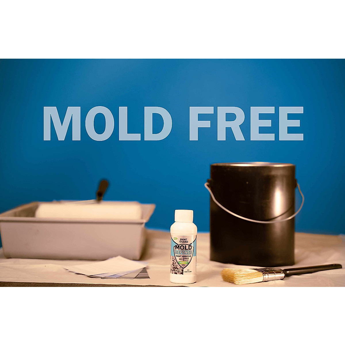 Paint-Guard Mold and Mildew Defense Paint Additive (1 Gallon Treatment)
