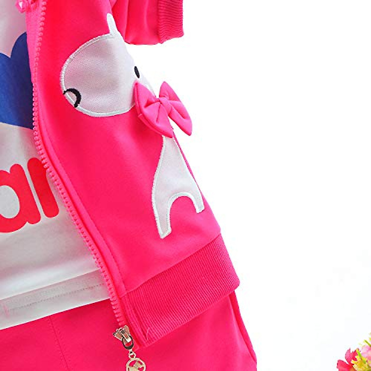 Yao 6M-4Y 3pcs Baby Girl Casual Hoodie Jacket Cotton T-Shirt Pants Sweater (Red,6-12M)