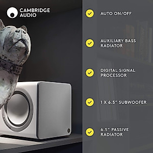 Cambridge Audio Minx X201 | 200 Watt Subwoofer with Active Amplifier (Gloss White)