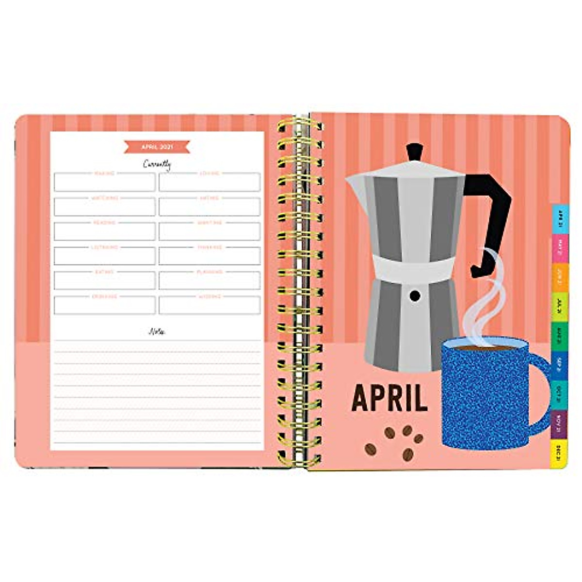 The Stars Have Aligned 17-Month Large Planner 2020-2021 (Pipsticks+Workman)