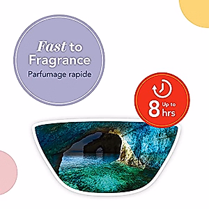 Yankee Candle Wax Melts | Moonlit Cove | Up to 8 Hours of Fragrance | 1 Count (1630637E)