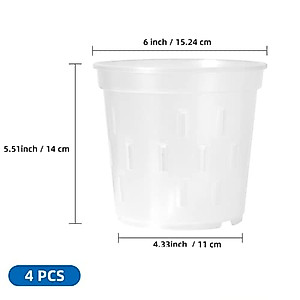 TRUEDAYS Clear Orchid Pot (4-Pack) - 6 inch Orchid Pots with Holes - Plastic Plant Pots for Orchid, Plants, Flower