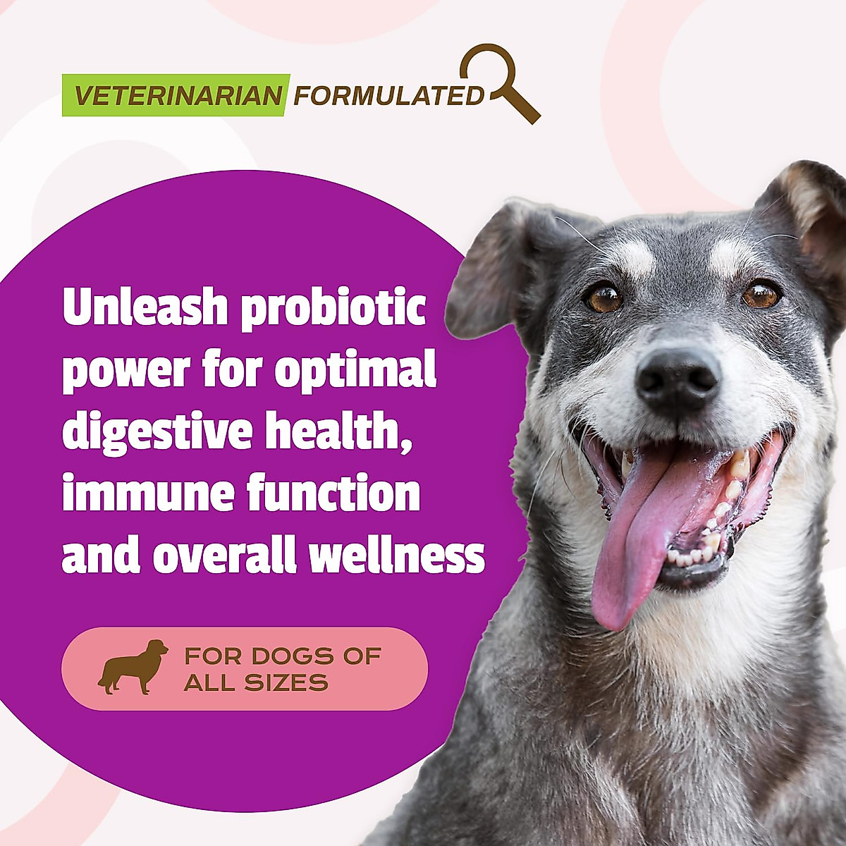 Pet Naturals 120M CFUs Probiotics for Dogs, 60 Chews & Nutri-Vet Eye Rinse for Dogs, 4 oz - Digestive & Eye Health