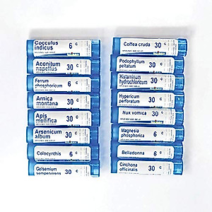 Boiron Homeotravel Travel case First aid kit Filled with homeopathic Medicines