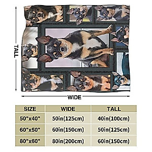 Cute Chihuahua Dog Black Lovely Puppy Printed Ultra-Soft Throw Blanket Home Decorative Blanket for Living Room Bed Sofa