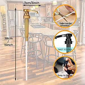 Coffee Syrup Pump Dispenser, 6 Pack Syrup Pump for 750ml/25.4 oz Syrup Bottle, Gold Pumps for Coffee Syrup Bottle, works with Torani, DaVinci, Jordans Skinny 750ml Syrups Bottles (Gold)