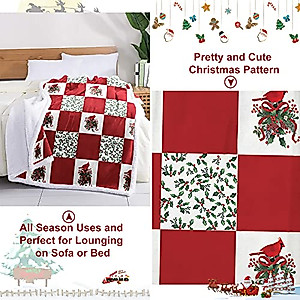 Christmas Sherpa Fleece Twin Size Blanket, Cardinals Birds Stitching Plaid Fuzzy Soft Lightweight Breathable Bed Sofa TV Couch Blanket - 60'x80'