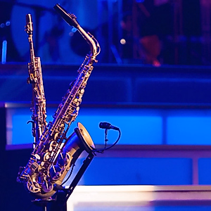 LOLUNUT Saxophone Stand, Foldable Alto/Tenor Sax Stand, Adjustable Metal Triangle Base Design