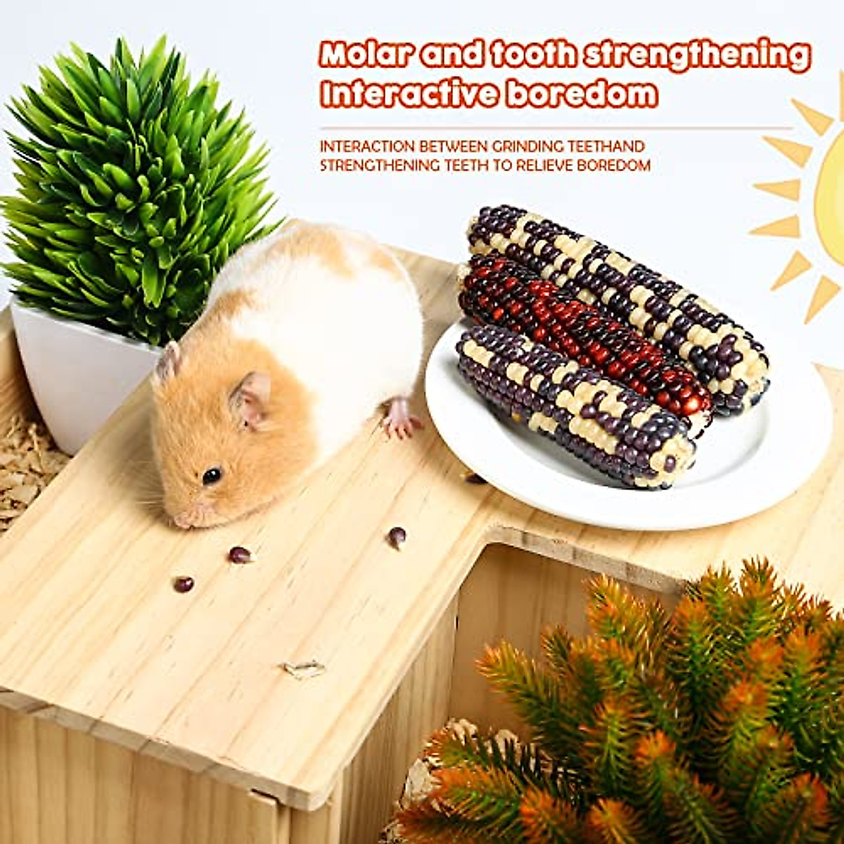 X-pet Hamster Treats and Chinchilla Chew Toys, 100% Natural Corn Suitable for Guinea Pig, Parrot,Bird and Other Small Animals