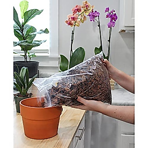 Orchid Potting Bark, Douglas Fir Bark 4qt Bag, Great for Re-Potting Orchids, Adding to Gardens, or Terrariums!
