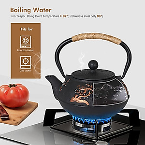 Japanese Style Cast Iron Teapot with 4 Tea Cups Trivet Tetsubin Tea Kettle with Infuser Chinese Tea Set for Adults Iron Tea Pots Black (Magpie and Plum Pattern)