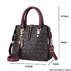 Qiayime Womens Fashion Purses and Handbags PU Tassel Leather Top Handle Satchel Shoulder Tote Crossbody Bags for Women (Red wine)