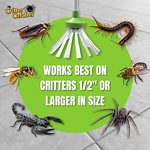 My Critter Catcher - Spider and Insect Catcher