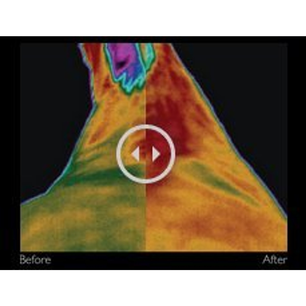 Vitafloor VMC Vibration Training Platform for Horses - Speed Recovery & Reduce Injury Time with Vibration Therapy for Horses!