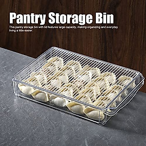 HOLPPO Pantry Storage Bin,Durable Plastic Pantry Storage Container,with Lid Large Capacity Transparent Food Grade Portable Durable Multifunction Pantry Containers(12.1in-Transparent)
