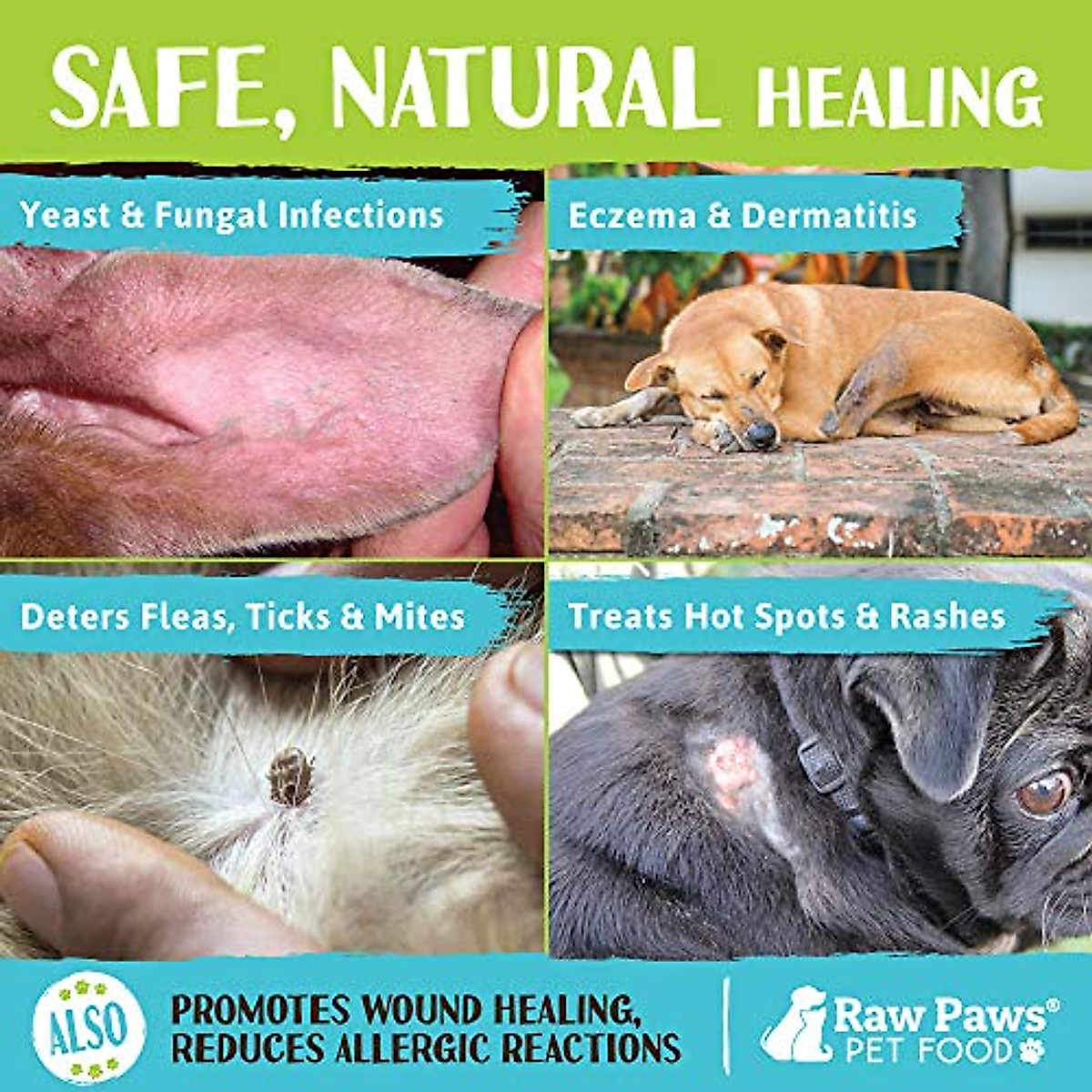 Raw Paws Organic Coconut Oil for Dogs & Cats, 4-oz - Treatment for Itchy Skin, Dry Nose, Paws, Elbows, Hot Spot Lotion for Dogs, Natural Hairball Remedy for Dogs & Cats