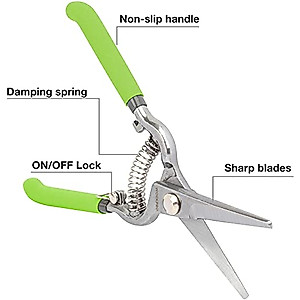 WORKPRO 2-Piece Pruning Shears Set, Drop Forged 8" Bypass Garden Shears and 8'' Handing Pruner with Steel Straight Blade