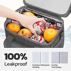 Women/Men,Reusable Lunch Box for Men,Insulated Lunch Cooler bag for Adults Kids,Collapsible Leakproof Lunch Tote Bag for Work Office School Picnic Beach-Medium,Grey