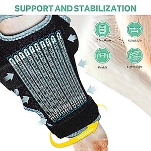 Dog Knee Brace (SMALL) Dog Knee Brace for Torn ACL Hind Leg - Dog Knee Brace Promotes Faster Recovery - Extra Supportive Dog Leg Brace with 10x Stabilizers & Longer Straps for an Anti-Slip Comfort Fit