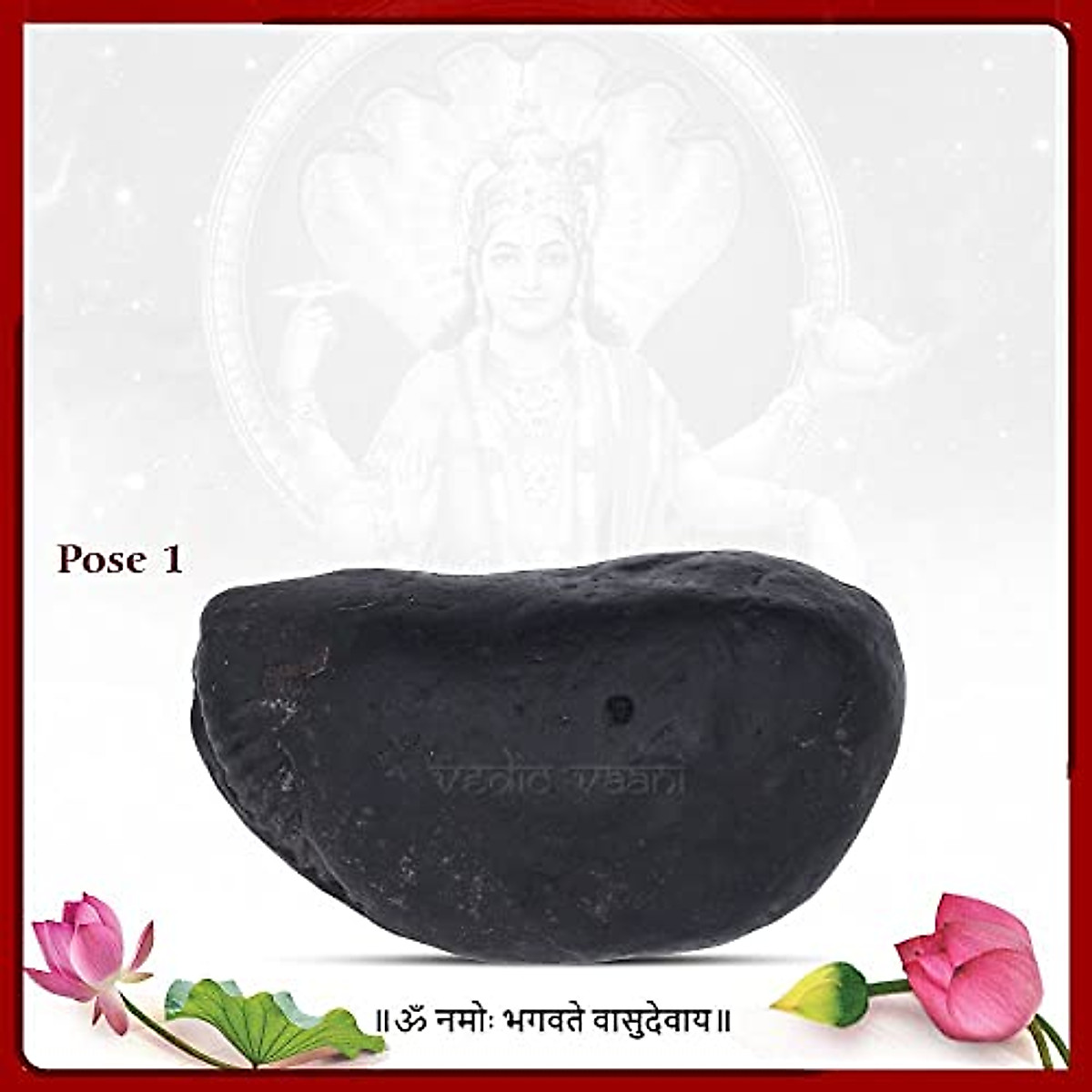Vedic Vaani Lord Rishikesh Rajanikant Chandrama Netra Shaligram Shila for Peace and Prosperity (Pack of 4)
