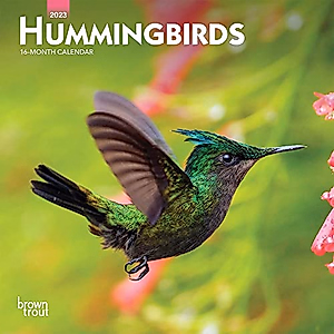 Hummingbirds | 2023 7 x 14 Inch Monthly Mini Wall Calendar | BrownTrout | Animals Wildlife Nature