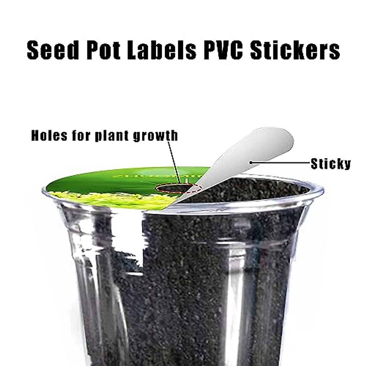 ZHUOMINGJIA 240 Pcs Seed Pot Labels PVC Stickers for Mark Plants and Understand Plant Growth,The Minimum Size of The Hole is 9mm for Aerogarden Seed Pods Garden Plant Grow Basket Vegetables,Green