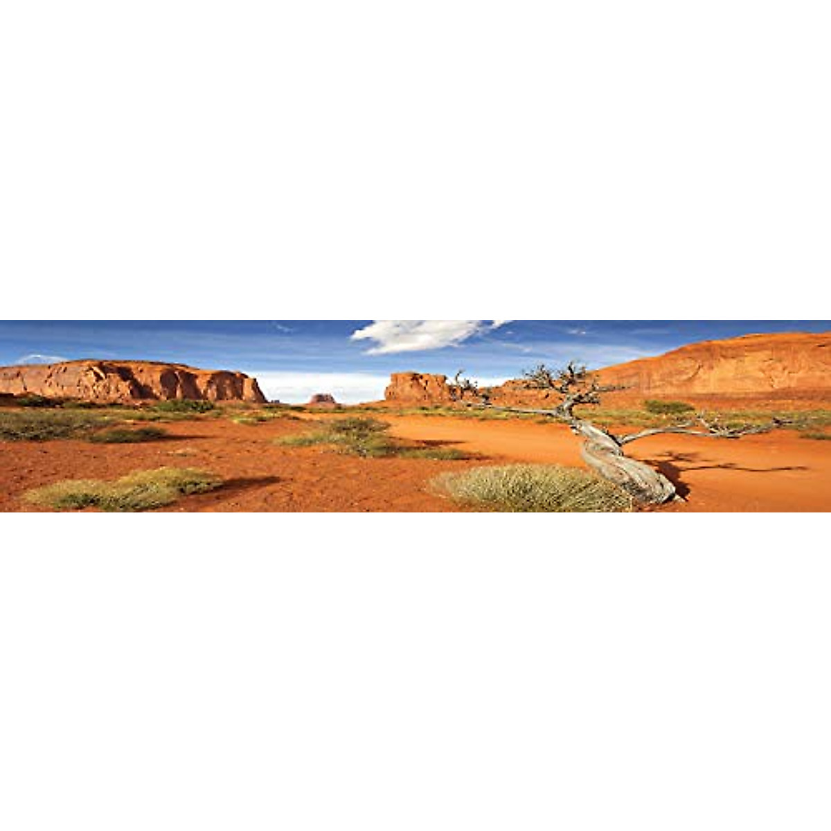 Reptile Habitat Background; Monument Valley with Tree, for 48Lx24Wx24H Terrarium, 3-Sided Wraparound