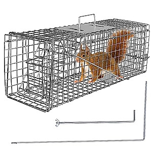 Moclever Humane Rat Trap Cage Catch Release Live Rat Traps Live Traps for Rat Live Animal Rodent Cage Collapsible Galvanized Wire for Small Raccoons Beavers Groundhogs Foxes Armadillos-23.3X7.7X7.2In