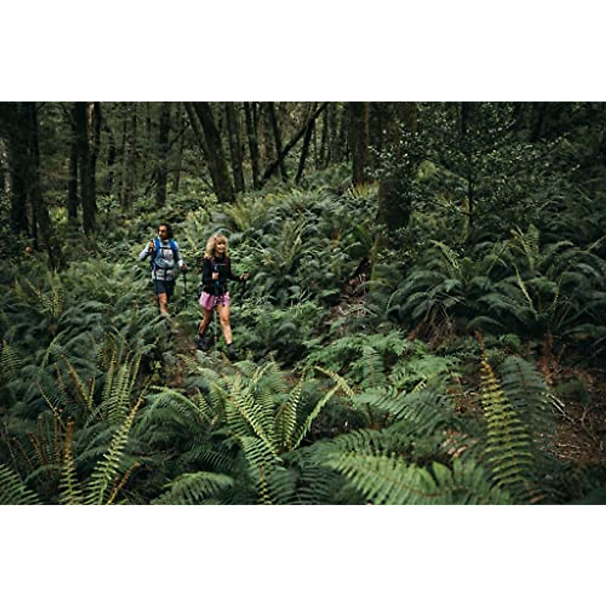 CamelBak Women’s Sequoia 24 Hiking Hydration Pack - Hike Backpack - 100oz, Castlerock Grey/Charcoal